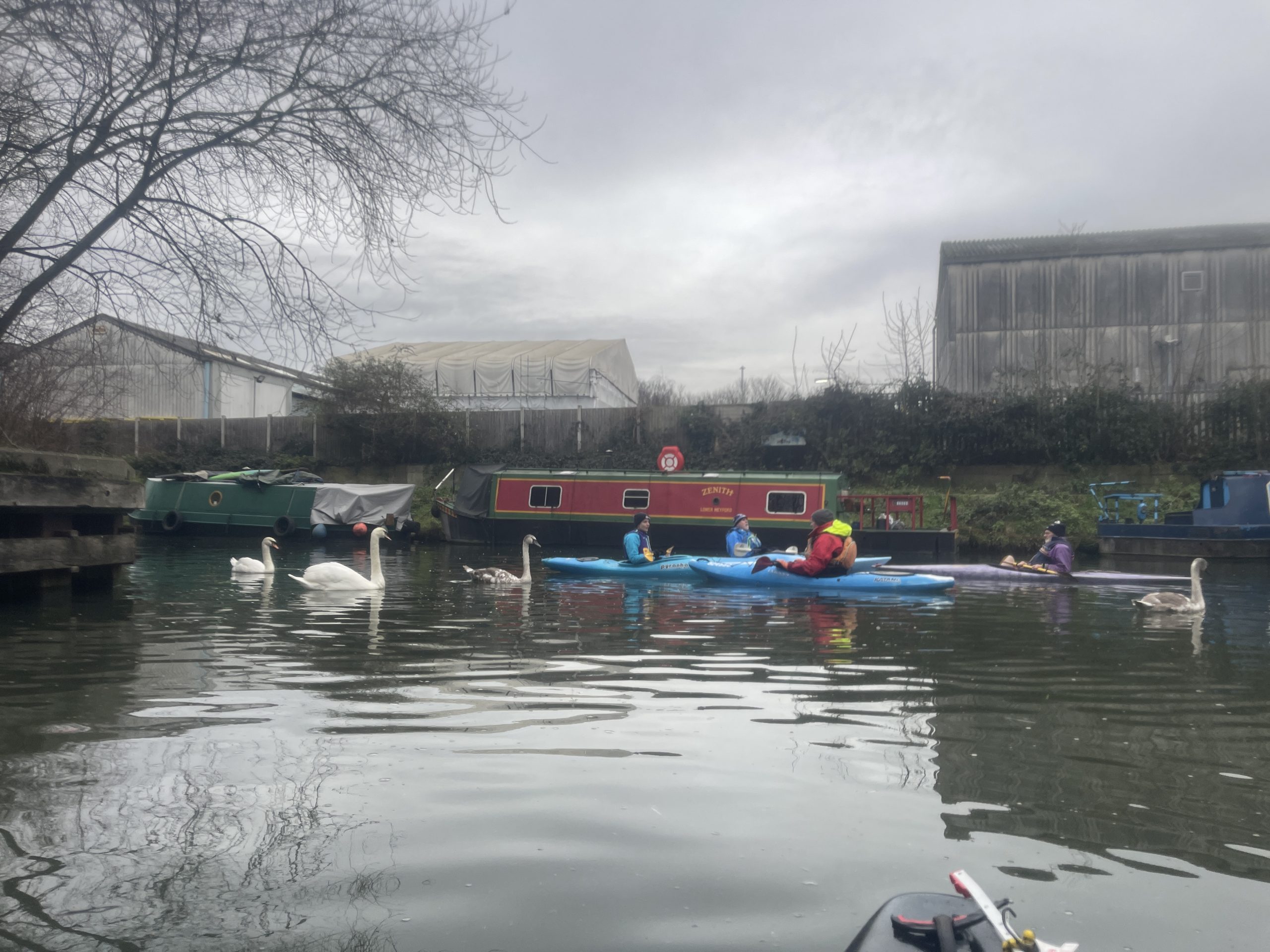 Short paddles on the River Stort in Hertfordshire